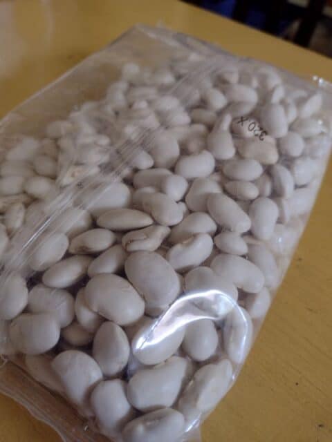 White Beans - The European Pantry